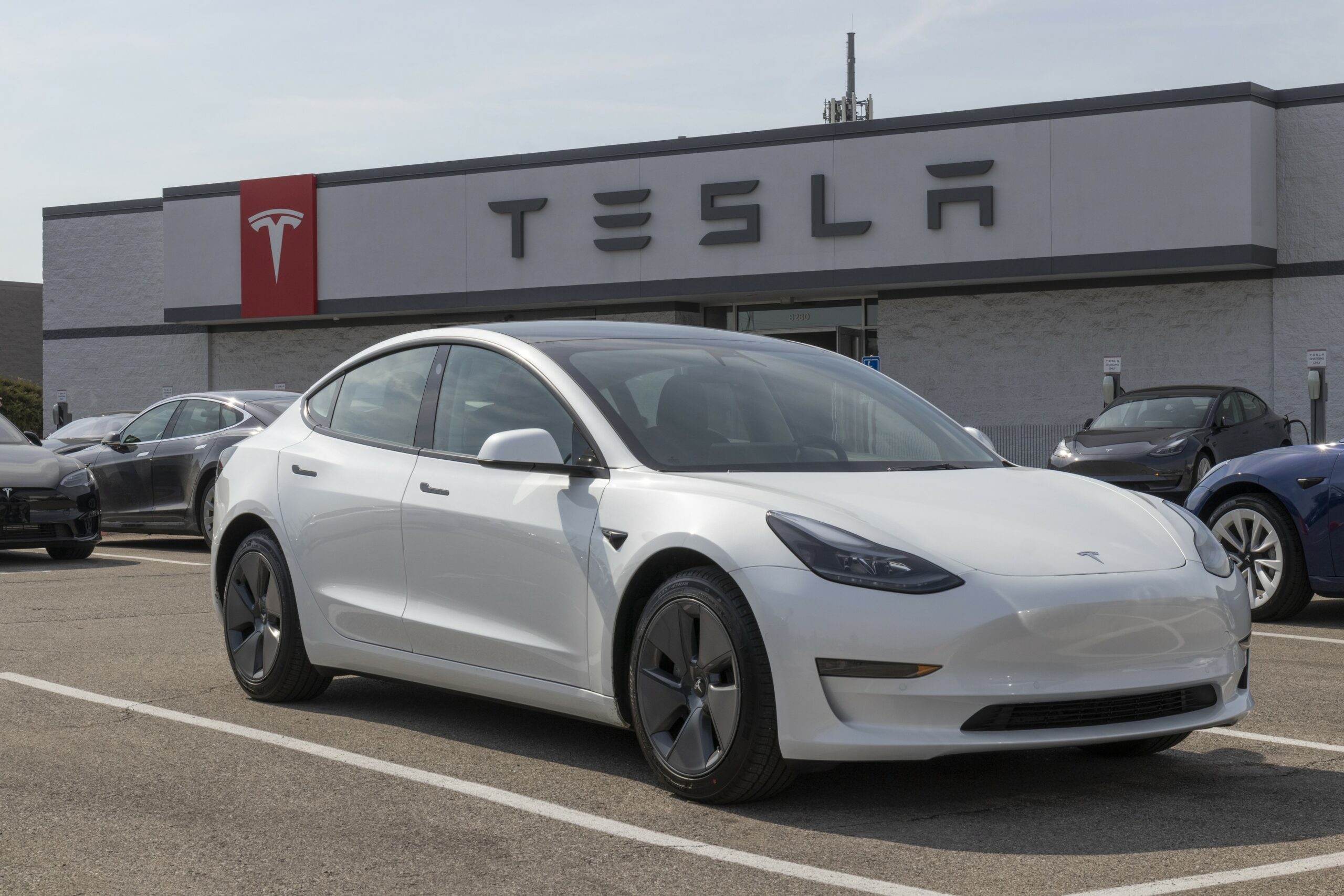An Emboldened UAW Sets Its Sights On Tesla, This Time For Real - Labor ...